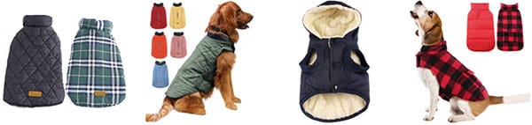 What are the Trending Products to Sell Online? 2021-2022 Updated List