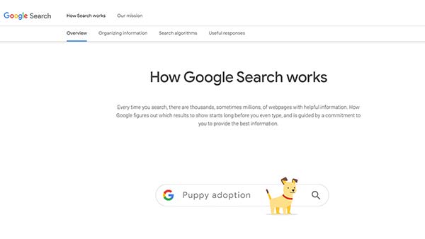 How does Google Work?