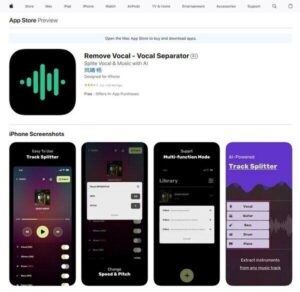 10 Best AI Vocal Removers